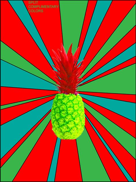 Split Complementary Photography