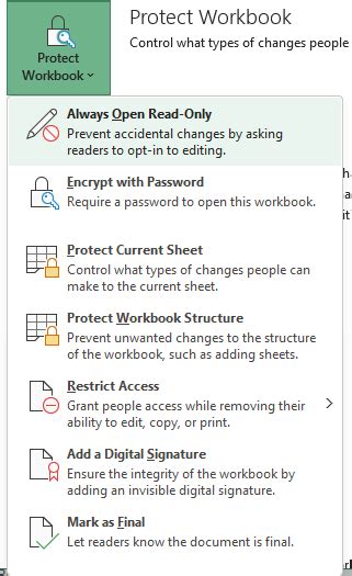 How To Password Protect An Excel File Step By Step Guide In Workbook Excel What Type