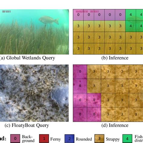 Qualitative Evaluation Of Model Generalization To Other Platforms Download Scientific Diagram