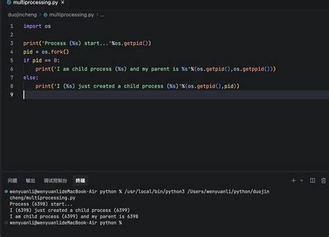 Python进程和线程——多进程 Csdn博客