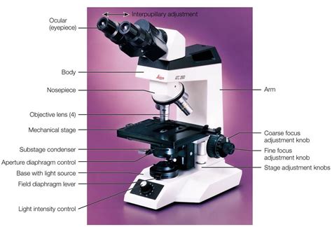Modern Compound Light Microscope