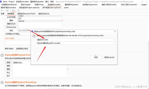 逻辑漏洞渗透与攻防（一）身份验证漏洞 极客之音
