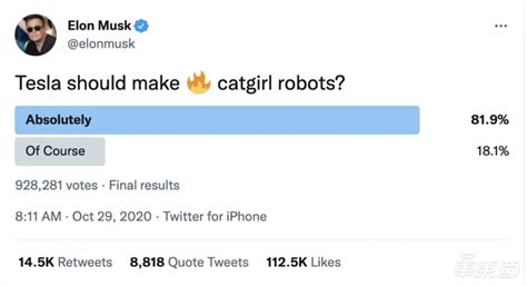 Elon Musk And His Idea Of Sex Robots With A Resemblance To Catgirl