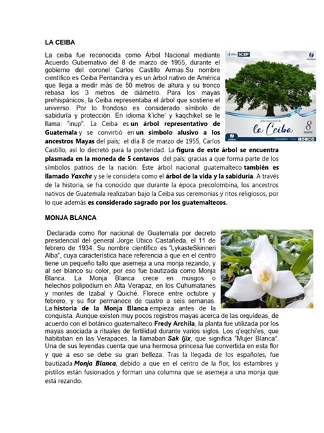 Historia De Los Simbolos Patrios 1 Pdf