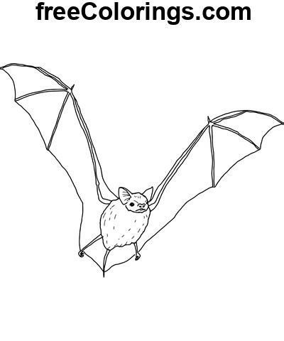 Grande chauve souris brune Coloriages gratuits à imprimer