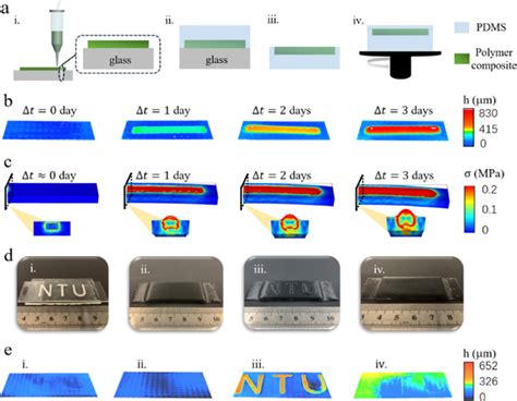 Fabrication And Shape Morphing Of Pdms Structures With Fully Embedded