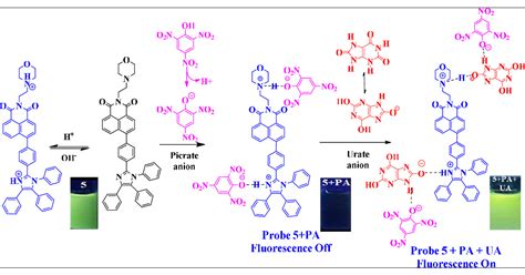 An Imidazole Naphthalimide Based Ph Sensitive Molecular Probe For Selective Detection Of Picric