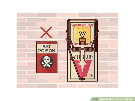 How To Set A Victor Rat Trap 14 Steps With Pictures Wikihow
