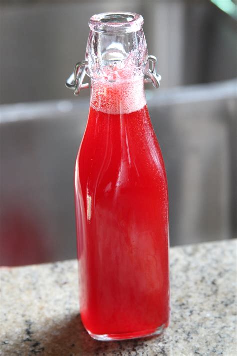 Cranberry Thyme Gin Tonic Laundry In Louboutins
