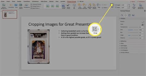 How To Crop A Picture In PowerPoint How To Crop A Picture In PowerPoint