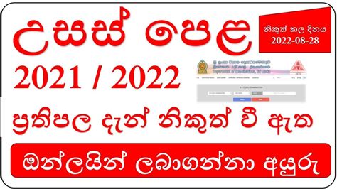 Al Results 2021 Release Date How To Check Your Al Results 🔥 Online Link For Results Youtube