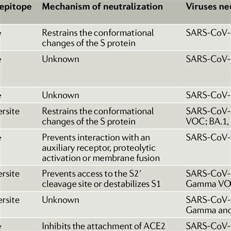 Neutralizing Antibodies Targeting The S2 Subunit Of The Spike Protein