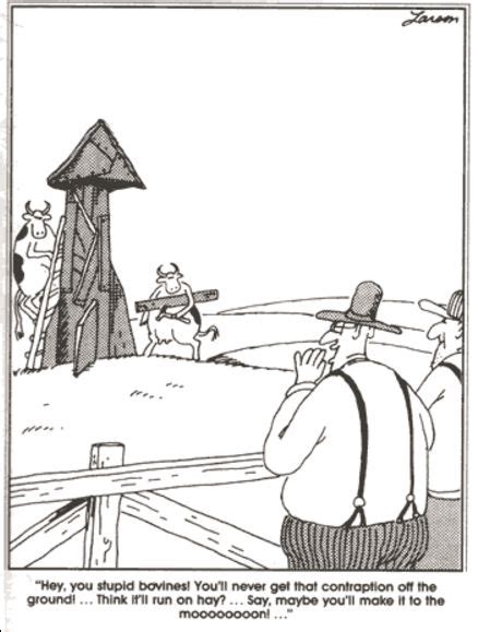 Mentoring Mentors Mentor Coaching Carpe Danelle Barrett