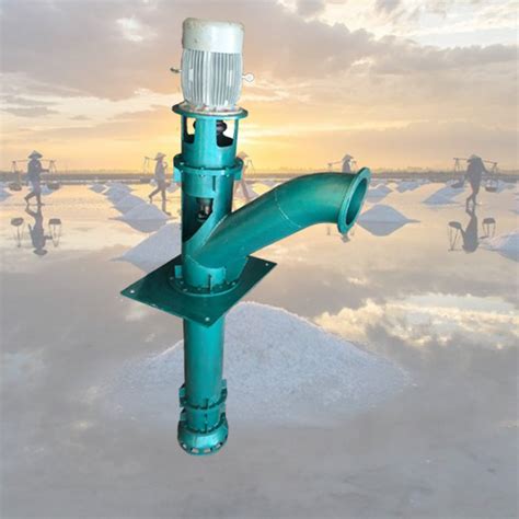 Axial Flow Pump At ₹ 100000number Axial Flow Pumps In Vadodara Id