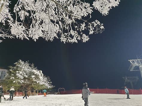 스키장 꼭대기에서 먹은것들 음식여행 에펨코리아