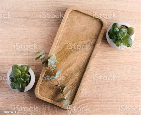 직사각형 나무 스탠드와 테이블에 유칼립투스 가지 개체를 표시하기 위한 배경 상위 뷰 0명에 대한 스톡 사진 및 기타 이미지