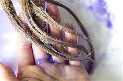 Can Purple Shampoo Be Used As Toner After Bleaching Hairdo Hairstyle