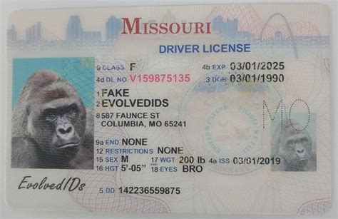Missouri Drivers License Issue Date Number Adgolf