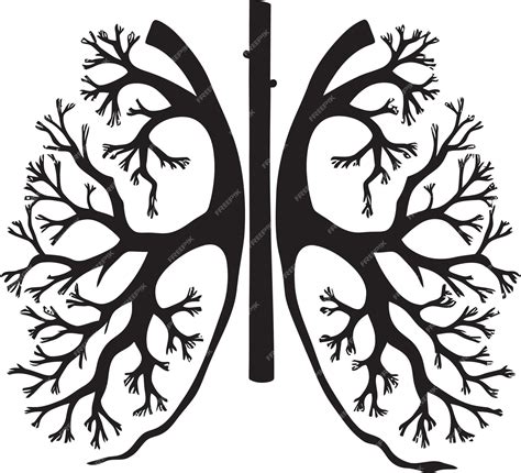 Premium Vector Respiratory Reforest Human Lungs Tree Vector Branching