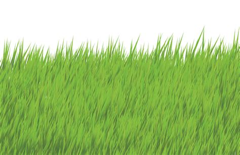 Anime Grass Brush Clip Paint Studio