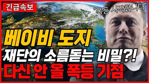 베이비 도지 코인 재단의 소름돋는 비밀 다신 안 올 폭등 기점 Youtube