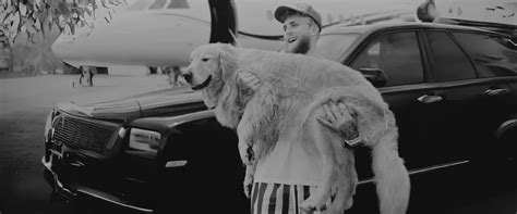 Logan Jake Paul Net Worth Accumulate Australia