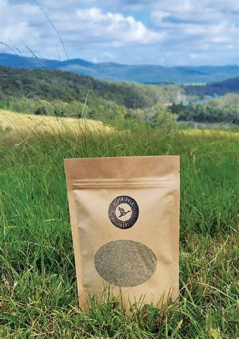 Issue 33 Pip Picks Pip Magazine