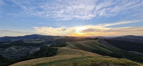 22 Reviews Of Papamoa Hills Regional Park Other In Papamoa Bay Of
