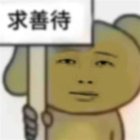 可爱卡通人物举牌 求善待”，萌态十足的表情包 50个有病抽象的表情包表情包图片动图 求表情网斗图从此不求人