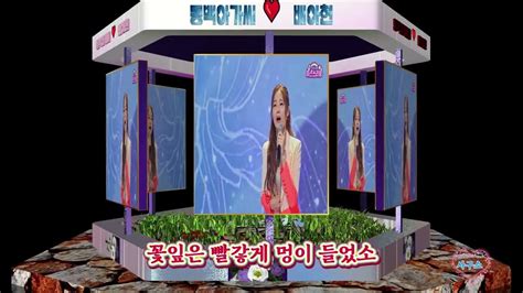 동백아가씨 배아현 Youtube