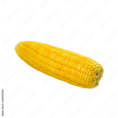 Peeled Corn On The Cob On A White Background Corn On The Cob Kernels
