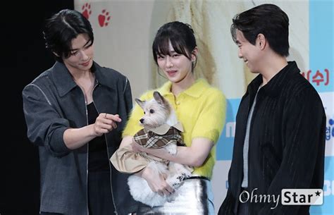 오늘도 사랑스럽개 오마이포토