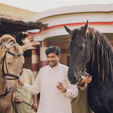 👑the Royalty Of Eesa Farm🐴 Where Horses Roam As Living Poetry