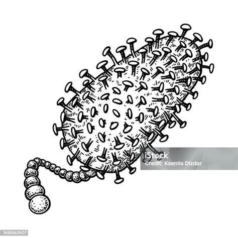 Virus De La Rage Dessiné À La Main Isolé Sur Fond Blanc Illustration