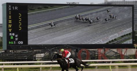 大井競馬【🔥👊🏇激熱穴馬勝負🏇👊🔥】423（火）【3r】3歳（発走時刻 1530）｜さやだま