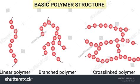 Vektor Stok Basic Polymer Structures Linear Branched Crosslinked Tanpa