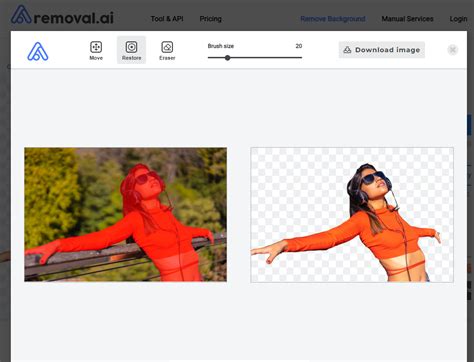 Best Tools To Remove Background From Image Research Snipers