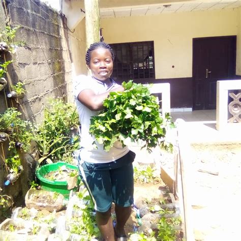 Limpressionnant Parcours De La Camerounaise Marie Antoinette Dassi