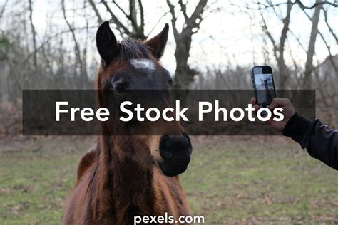 Vicinekofischlgofilefreefps Photos Download The Best Free Vicineko