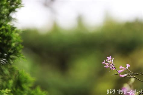 인천 가볼만한곳♥ 청라 드림파크 야생화단지 개방 주차장이용안내 네이버 블로그