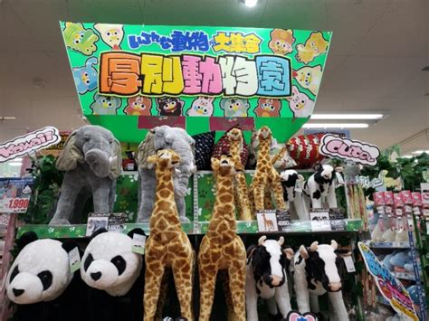 「厚別動物園」って何だ？ドン・キホーテ厚別店で地元らしさを探す【札幌市厚別区】 新札幌情報ハンター