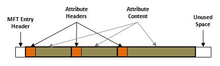 The NTFS Master File Table MFT