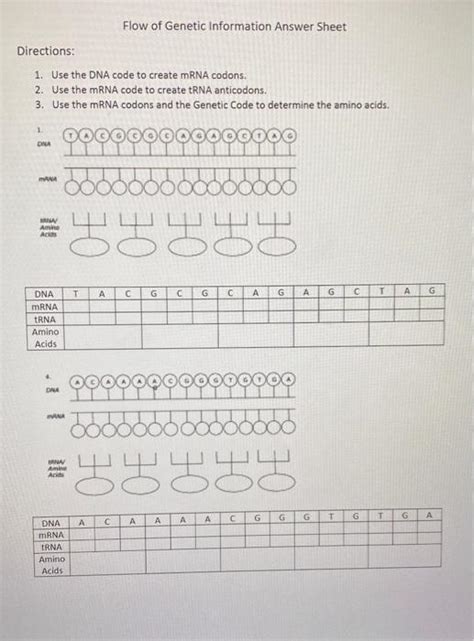 Solved Directions 1 Use The DNA Code To Create MRNA Chegg Com