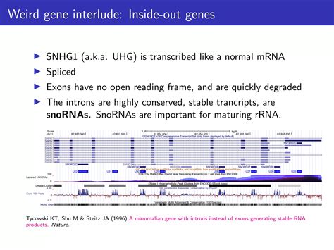 Ppgardner Lecture Annotation Comparativegenomics Pdf