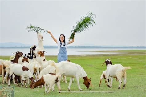 ทุ่งหญ้าจุดชมวิวบ้านท่าฤทธิ์ เขื่อนป่าสักชลสิทธิ์ ได้ฟีลเหมือนเที่ยว