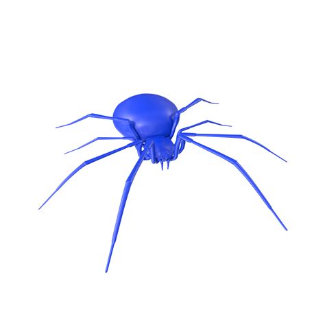 Spider Isolated On Transparent Background Png