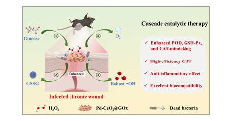 Multifunctional Pd Single Atom Nanozyme For Enhanced Cascade Chemodynamic Therapy Of Chronic