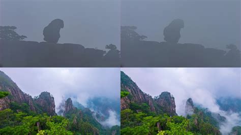 黄山猴子观海视频素材下载编号25424361光厂vj师网