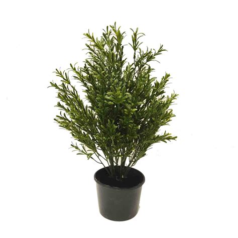 Artificial Plant Fillers Grass And Shrubs Greenery Imports