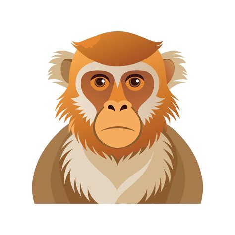 Stylish Barbary Macaque For Art 57957599 Vector Art At Vecteezy